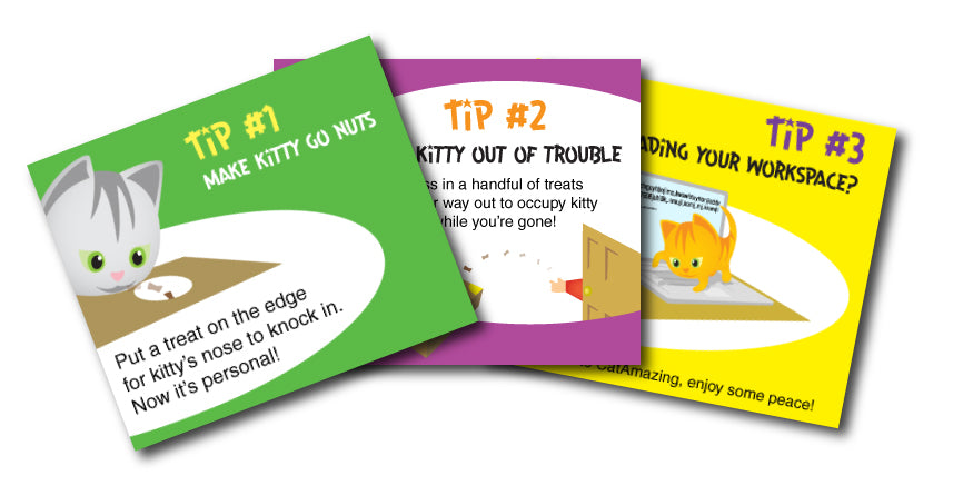 Top 4 Tips for Getting the Most Out of Your Cat Amazing!